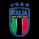 FIGC - Italy Collection – North America Sports the Soccer Shop